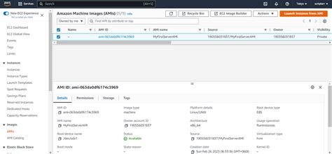 Backup And Reusing Of Ami With Snapshot Enablegeek