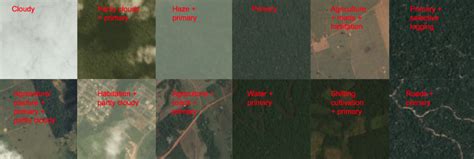 Github Shanker Multilabelclassification Multi Label Classification Of Amazon Rainforest
