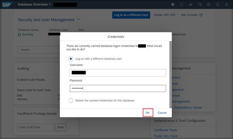 Sap Hana Cloud Catalog And Hdi Role Creation A Step By Step Guide