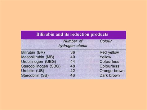 Hemoglobin Synthesis Disorders Bilirubin Metabolism Ppt