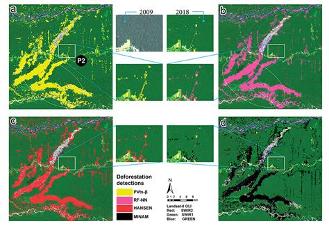Popular Applications Of Computer Vision For Sustainable Forestry Viso Ai