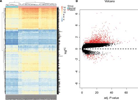 Identification Of Key Genes And Pathways Using Bioinformatics Analysis Idr