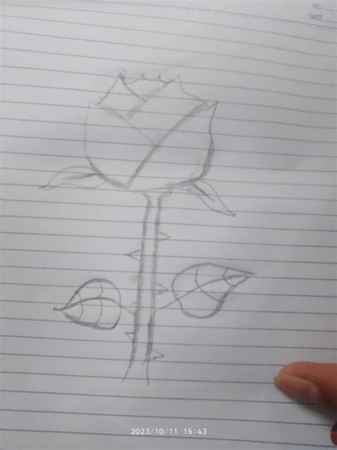 Создать мем роза карандашом для срисовки роза карандашом поэтапно роза карандашом для