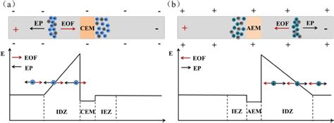 Schematic Diagram Of Two Kinds Of ICP Effects A ICP Effect At CEM Download Scientific Diagram