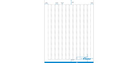 Layout Application And Design Grids