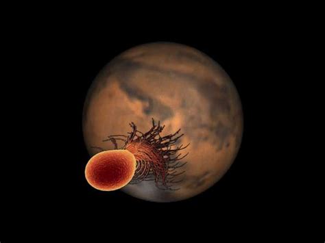 Sending Organisms To Outer Space Mediamatic