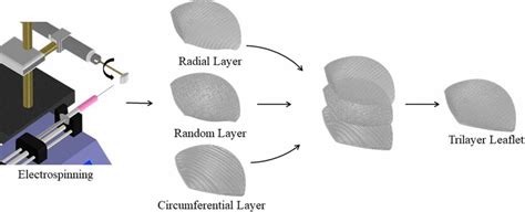 Schematic Of A Syringe Pump High Speed Spindle And Leaflet Shaped Download Scientific Diagram