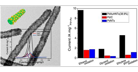 Controlled Synthesis Of Au Island Covered Pd Nanotubes With Abundant Heterojunction Interfaces