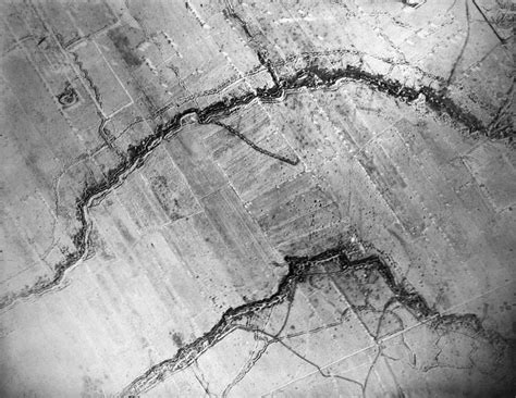 Know The Causes Of Black Lines And Streaks On Copies