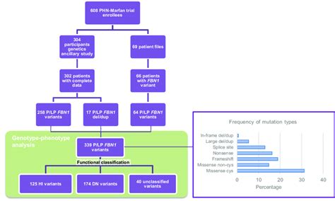 Workflow Of Genotype Phenotype Analysis Overview Of The Variant Download Scientific Diagram
