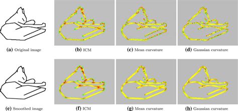 the estimated curvature maps of a simple image ‘cat estimated by image