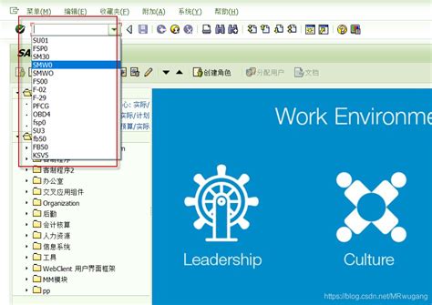 Sap 操作界面基本设置sap怎么将常用的页面设置 Csdn博客