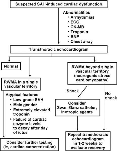Stress Related Cardiomyopathy Syndromes Circulation