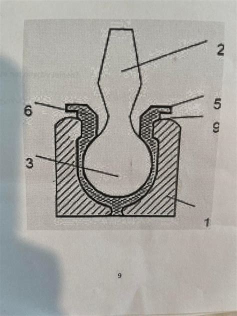 Solved Someone Help Me To Identify This Bone Structure And Chegg Com