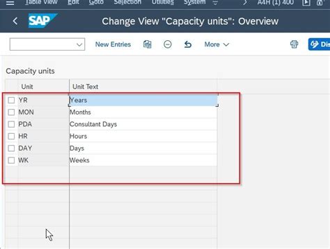How To Define Capacity Unit In SAP