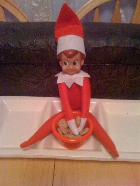 Elf As Ethan Named Him Was Caught Last Night 12 05 11 With His Elf Hands In The Elf