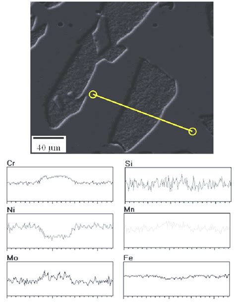 Microstructure And Linear Distribution Of Alloying Elements Performed Download Scientific