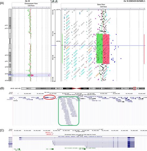 Chromosomal Microarray Analysis Cma Of Fetal Dna A Cma Profile Of Download Scientific