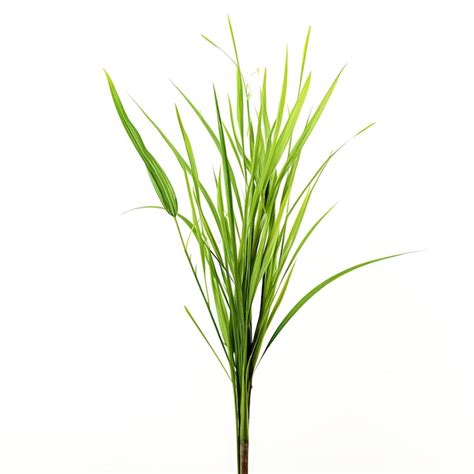 Premium Ai Image Scirpus Microcarpus Yellowgreen A Panicled Bulrush