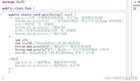 Java编程：变量声明、初始化与命名规范解析 Csdn博客