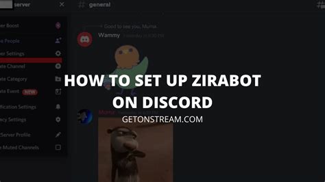 How To Set Up Zira Bot On Discord [easy Guide] Get On Stream
