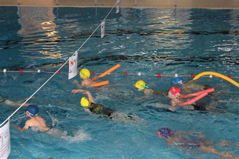 Piscine De Fleurus Créo Fleurus