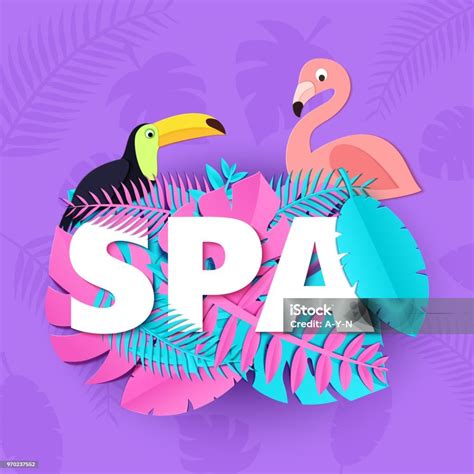 창의적인 핑크와 블루 정글 단어 스파 구성 큰부리새 플라밍고 Trandy 종이 스타일을 잘라 나뭇잎 포스터 배너 전단지에 대 한 열 대 공예 디자인 벡터 카드 일러스트 레이