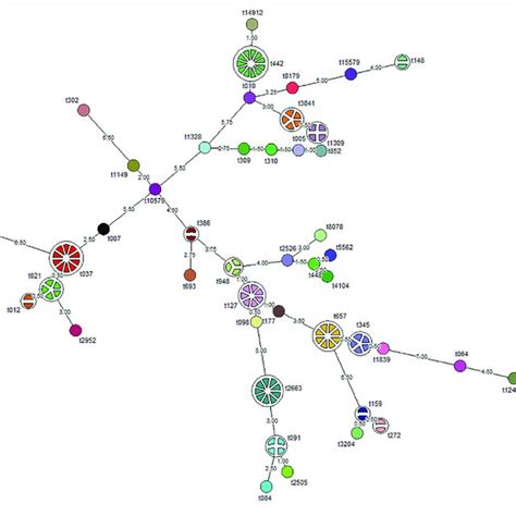 Minimum Spanning Tree Mst Showing 109 S Aureus Isolates Typed By