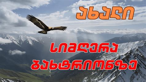 ახალი სიმღერა ბახტრიონზე ახალი ქართული სიმღერა ტექსტი Youtube
