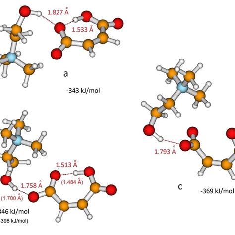 Different Coordination Structures A B C And D Of H Fumarate