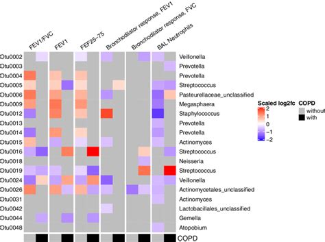 Heatmap Summarizing Results Of Deseq Analysis Showing Lung Bacterial