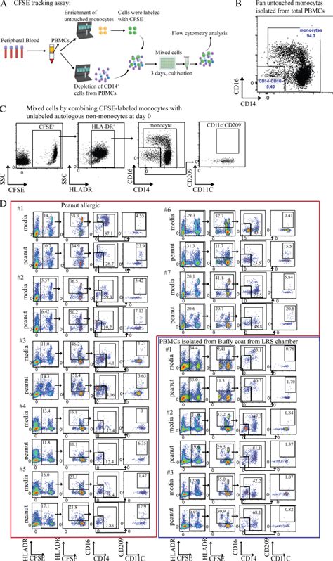 Schematic Overview And Flow Cytometry Plots Showing The Cfse Based