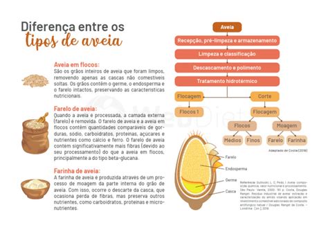 151diferençaentreostiposdeaveia Pdf Trigo Nutrientes