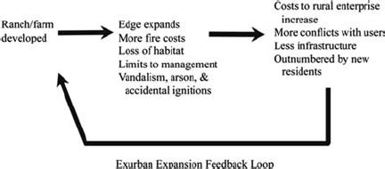 3 Development Feedback Loop As Rural Enterprises Are Converted To Download Scientific Diagram