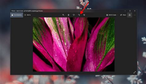 Pictures In Windows Photo Viewer Won T Rotate SOLUTION