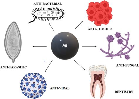 金银纳米粒子在治疗诊断学中的应用 Applied Biochemistry And Biotechnology X Mol