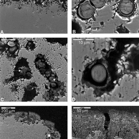 Tem Observations Bar 1 M A Tem Detail Of Cyanobacteria After