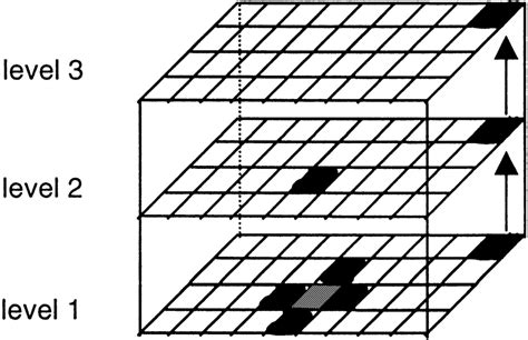 a hierarchical ca structured on three levels arrows indicate how the download scientific