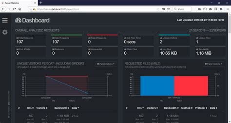 Install Goaccess On Ubuntu 16 04 Codeinsane