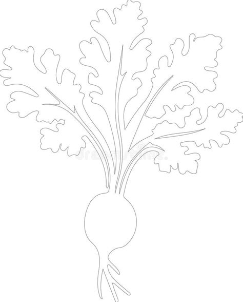 Parsnip Outline Silhouette Generative Ai Stock Vector Illustration Of