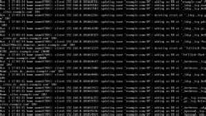 Setup Linux DNS Server For Windows Active Directory Jesin S Blog