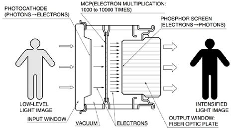 IIT Operating Principle Download Scientific Diagram