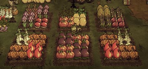 The Starvers Guide To Self Feeding Farms Page 2 Dont Starve