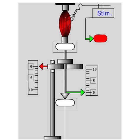 An Animated Component Created In Flash Representing An Experimental