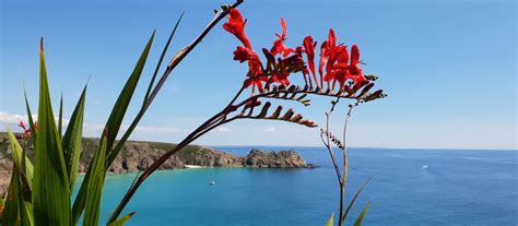 My Internship With Exeter Lab Team