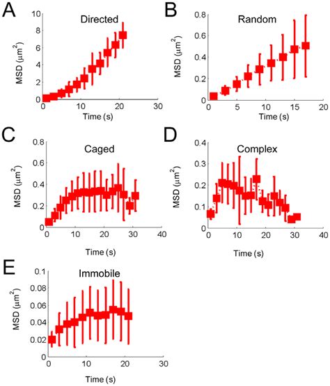 Three Dimensional Mean Square Displacement MSD Plots Of Each Type Of Download Scientific