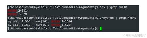 【linux】命令行参数与环境变量命令行 环境变量 Csdn博客 【linux】命令行参数与环境变量命令行 环境变量 Csdn博客