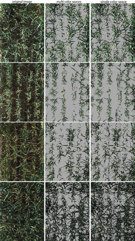 Multi Feature Versus Single Feature Comparison Of Segmented Images Of Download Scientific