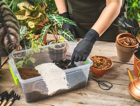How To Make Your Own Garden Soil