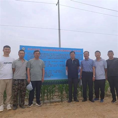 中国农业科学院作物科学研究所黎裕研究员一行到市农科所指导玉米种质资源抗旱精准鉴定平台建设工作情况